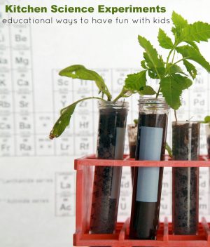 Unique Kitchen Science Experiment for Kids - Suburbia Unwrapped