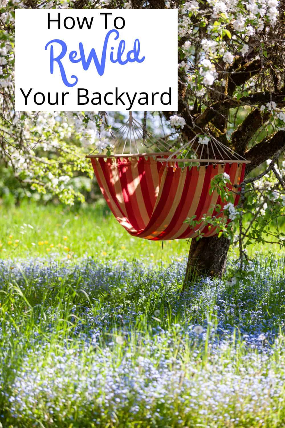 Tips for Rewilding Your Yard - Suburbia Unwrapped
